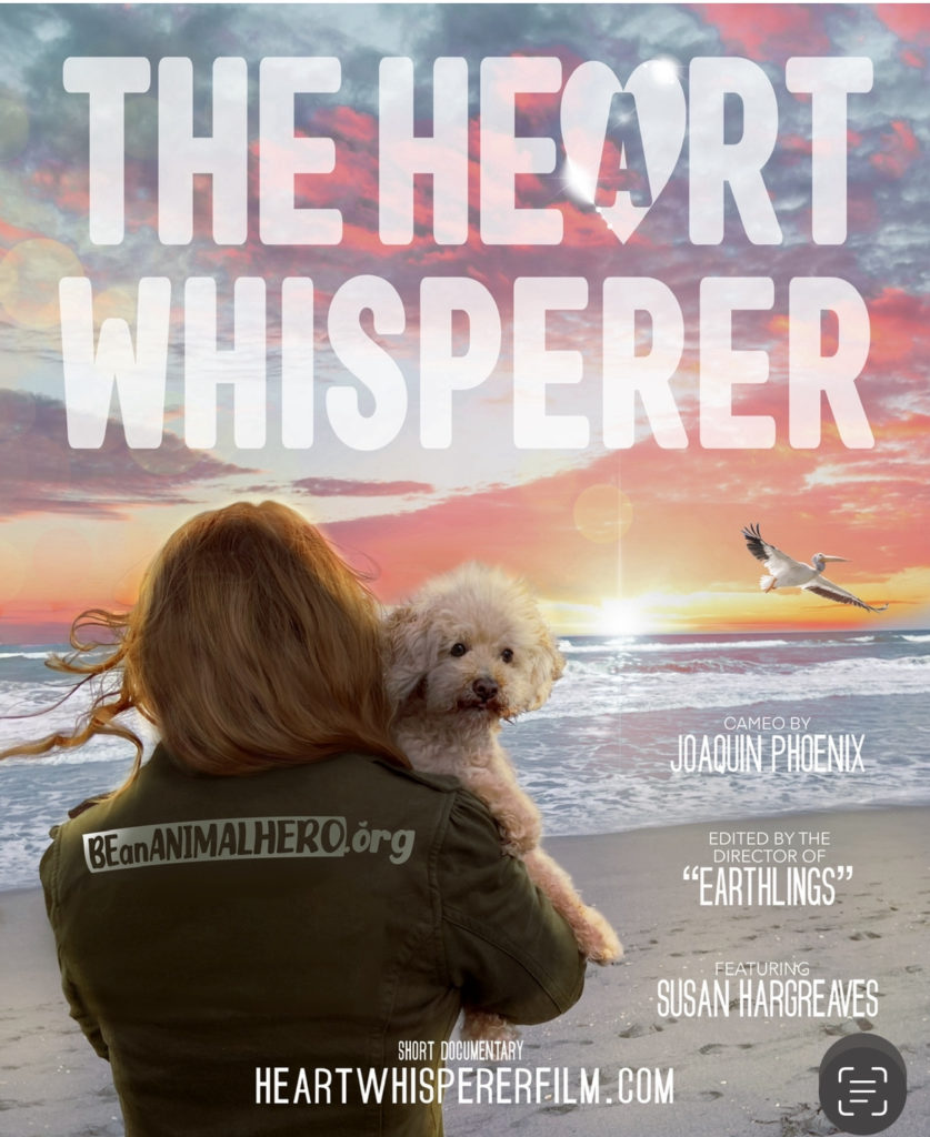 Susan Hargreaves of Animal Hero Kids Shares Global Phenomenon ...
